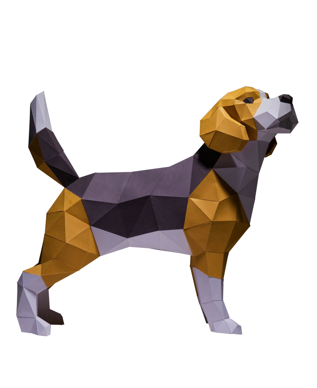 Papercraft World 3D Papercraft Model Diy Kit, Beagle Model | Smart Closet