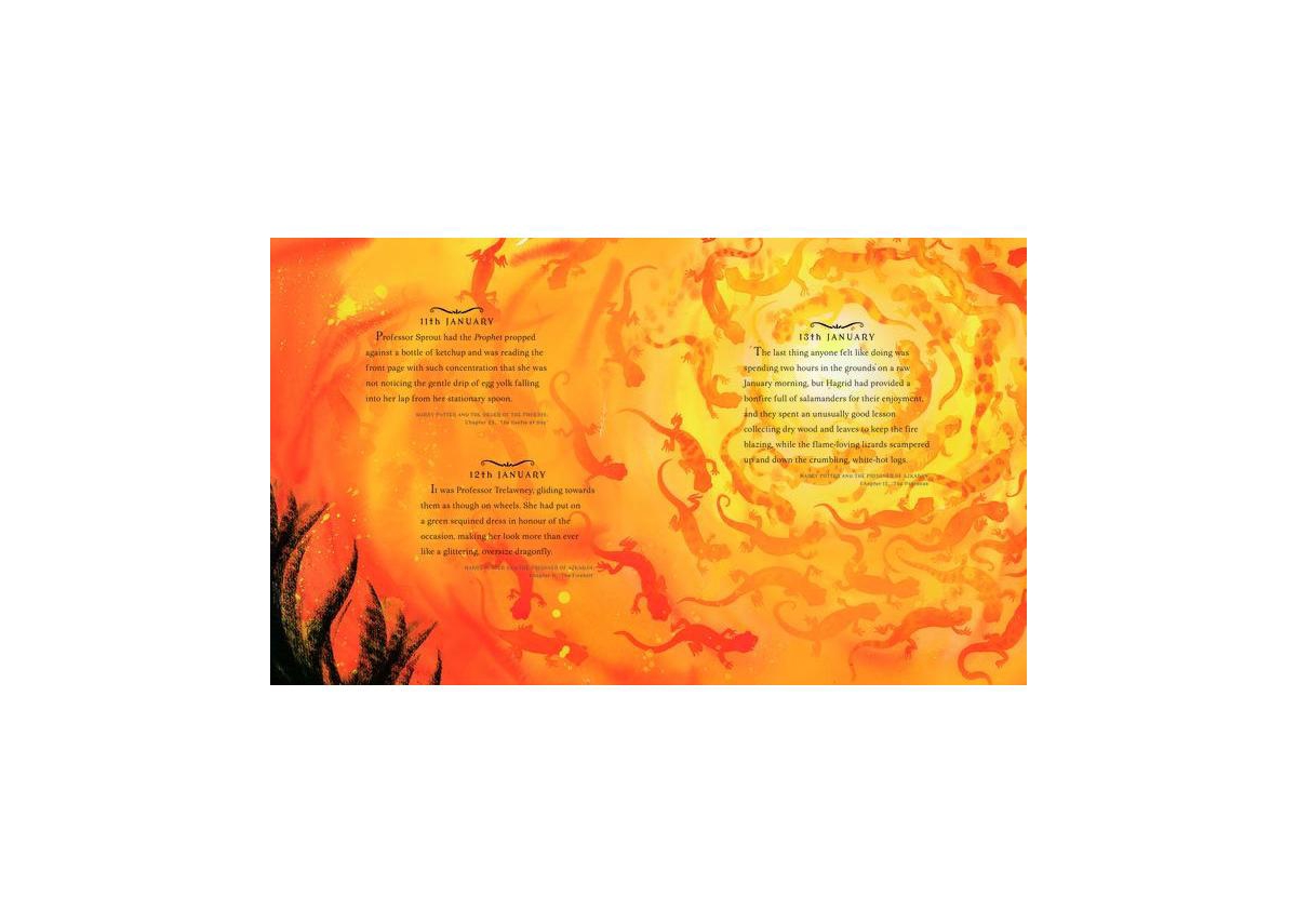 Barnes & Noble Harry Potter: A Magical Year -- The Illustrations of Jim ...