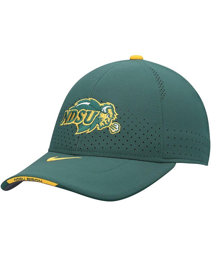 Nike Men's Green NDSU Bison 2021 Sideline Legacy91 Performance ...