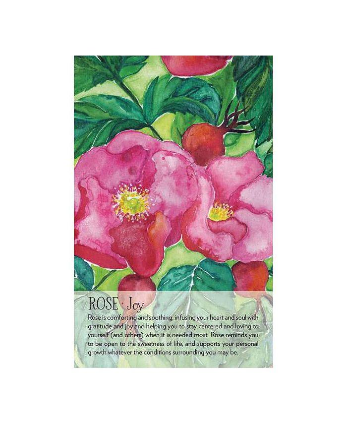 Barnes & Noble Soulflower Plant Spirit Oracle - 44-Card Deck and ...