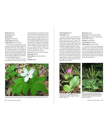 Barnes & Noble Wildflowers of the Pacific Northwest by Mark Turner - Macy's