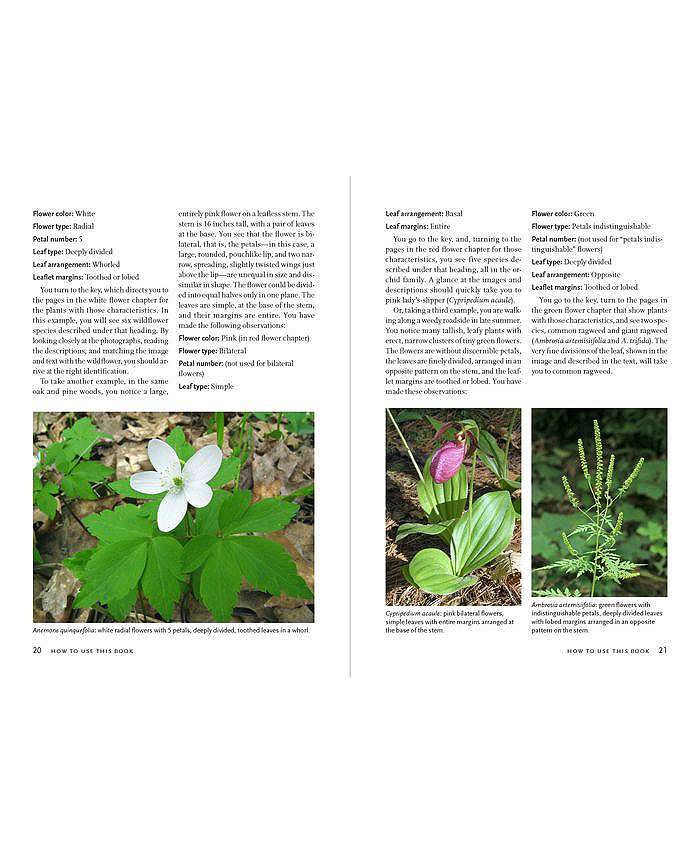 Barnes & Noble Wildflowers of the Pacific Northwest by Mark Turner - Macy's