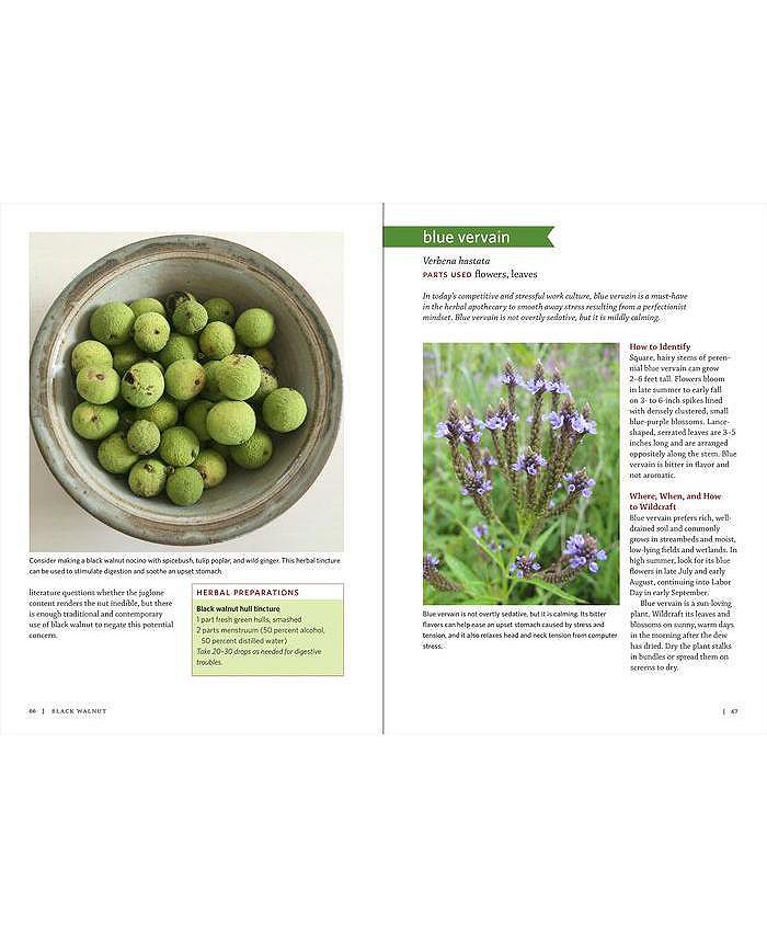 Barnes & Noble Midwest Medicinal Plants: Identify, Harvest, and Use 109 ...