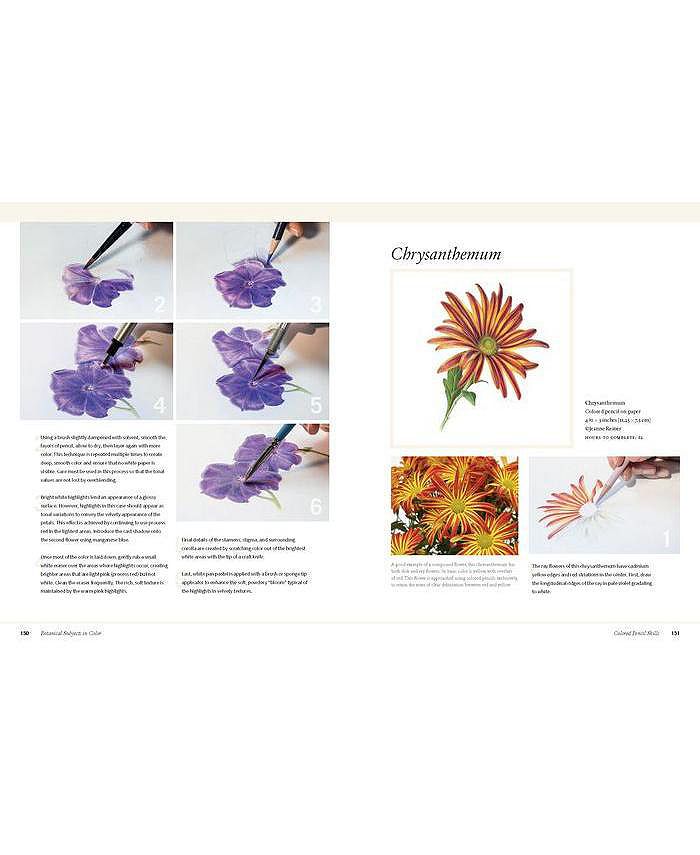Barnes & Noble Botanical Art Techniques: A Comprehensive Guide to ...