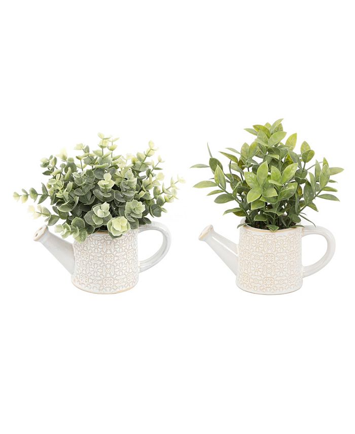 Flora Bunda Eucalyptus Tea Leaf in Cathedral Watering Can Set, 2 Piece ...