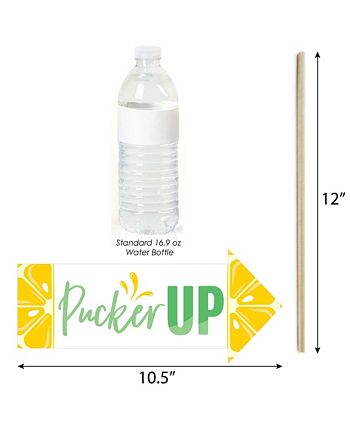 Big Dot of Happiness Funny So Fresh - Lemon - Citrus Lemonade Party ...