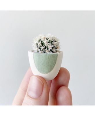 Candace Mini Cactus Kit - Macy's