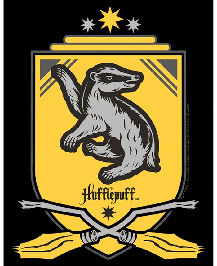 Warner Bros. Boy's Harry Potter Quidditch Hufflepuff Team Crest Child T ...