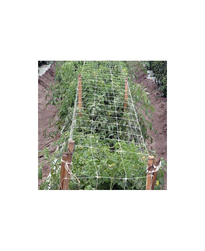 Novelty Earthbox 1010017 Trellis Net, 29 1/2 - Inch by 50 1/2 - Inch ...