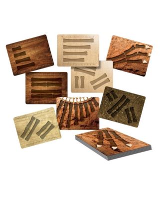 Yellow Door Dinosaur Bones Match & Measuring Cards - Macy's