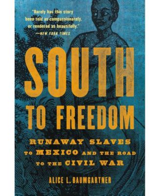 South to Freedom- Runaway Slaves to Mexico and the Road to the Civil ...