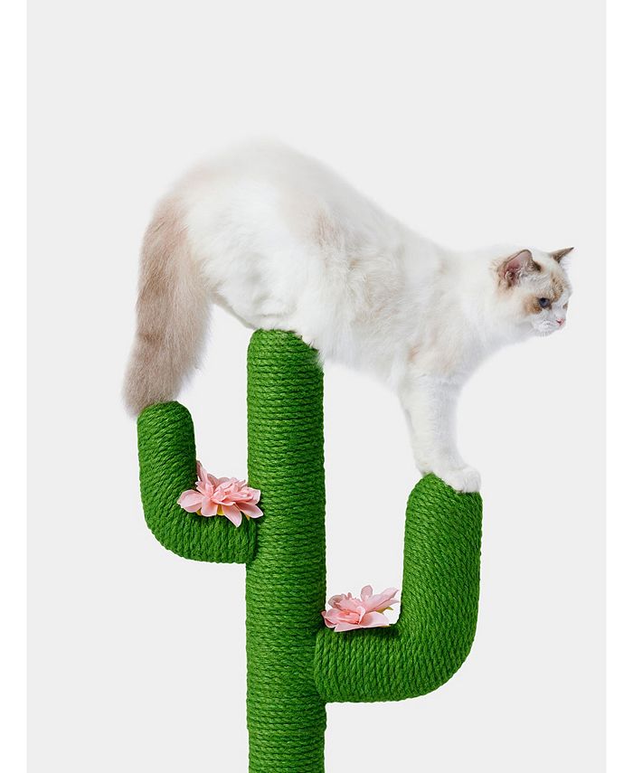 VETRESKA Oasis Cactus Cat (mini) Scratching Post, Cactus Cat Scratchers ...