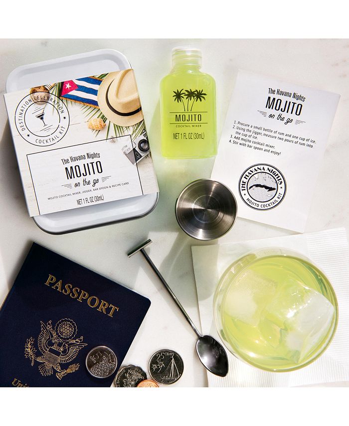 Thoughtfully Cocktails, Cocktail Mixer Travel Tin Mojito Gift Set ...