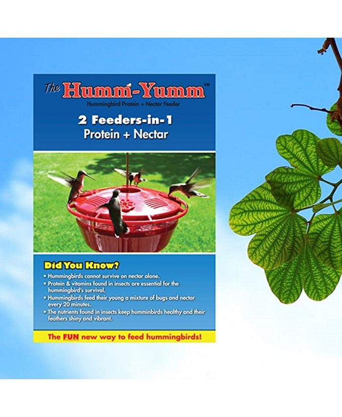 Ideology Humm-Yumm, 2 in 1, Hanging Plastic Hummingbird Feeder, Red ...