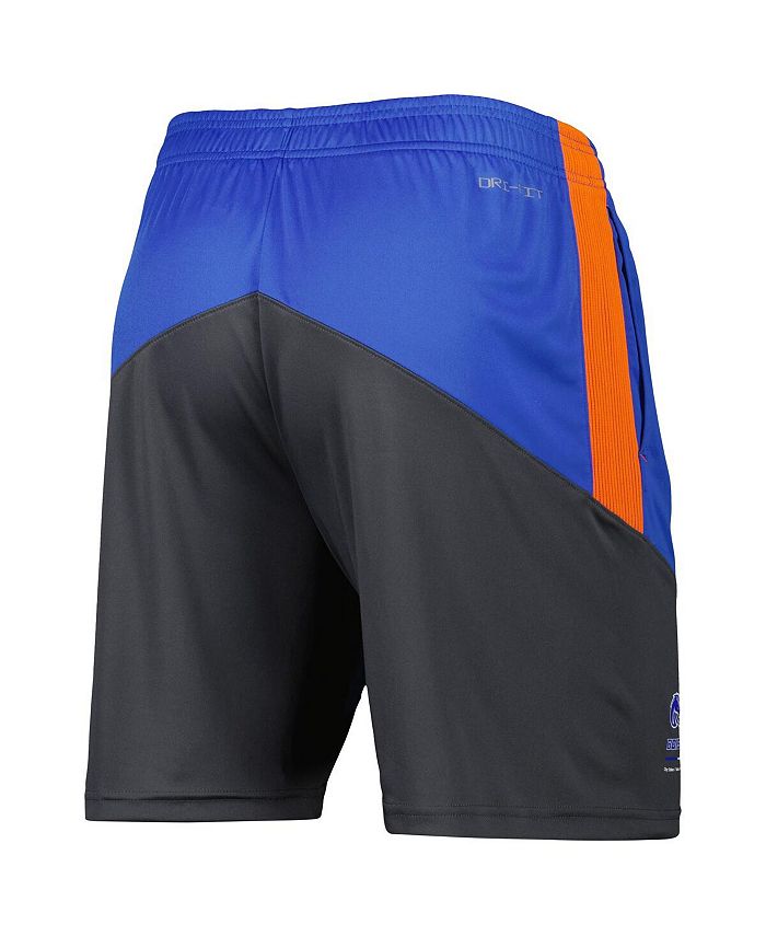 Nike Men's Royal, Anthracite Boise State Broncos Performance Player ...
