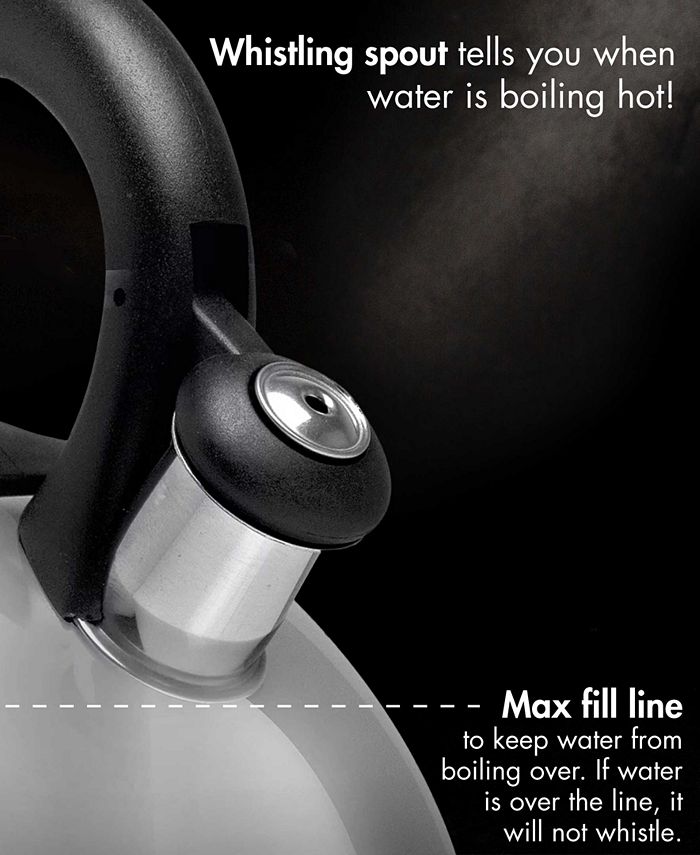 Primula Stainless Steel 3 Quarts Today Colin Whistling Kettle - Macy's