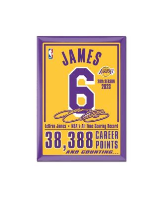 Wincraft LeBron James Los Angeles Lakers NBA All-Time Scoring Record 2. ...