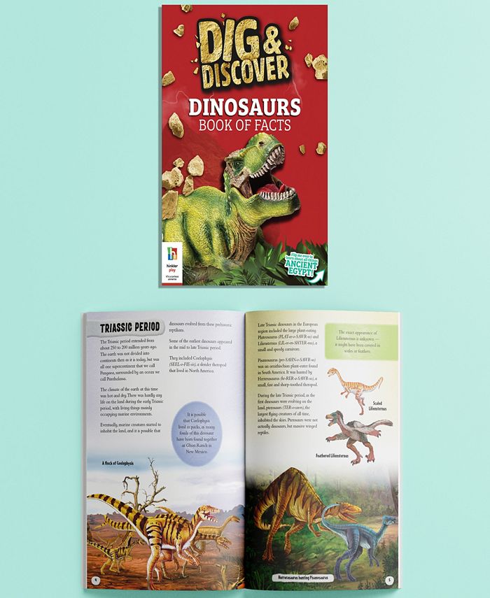 Curious Universe Dig Discover Ultimate Kit DIY Science and Geology for ...