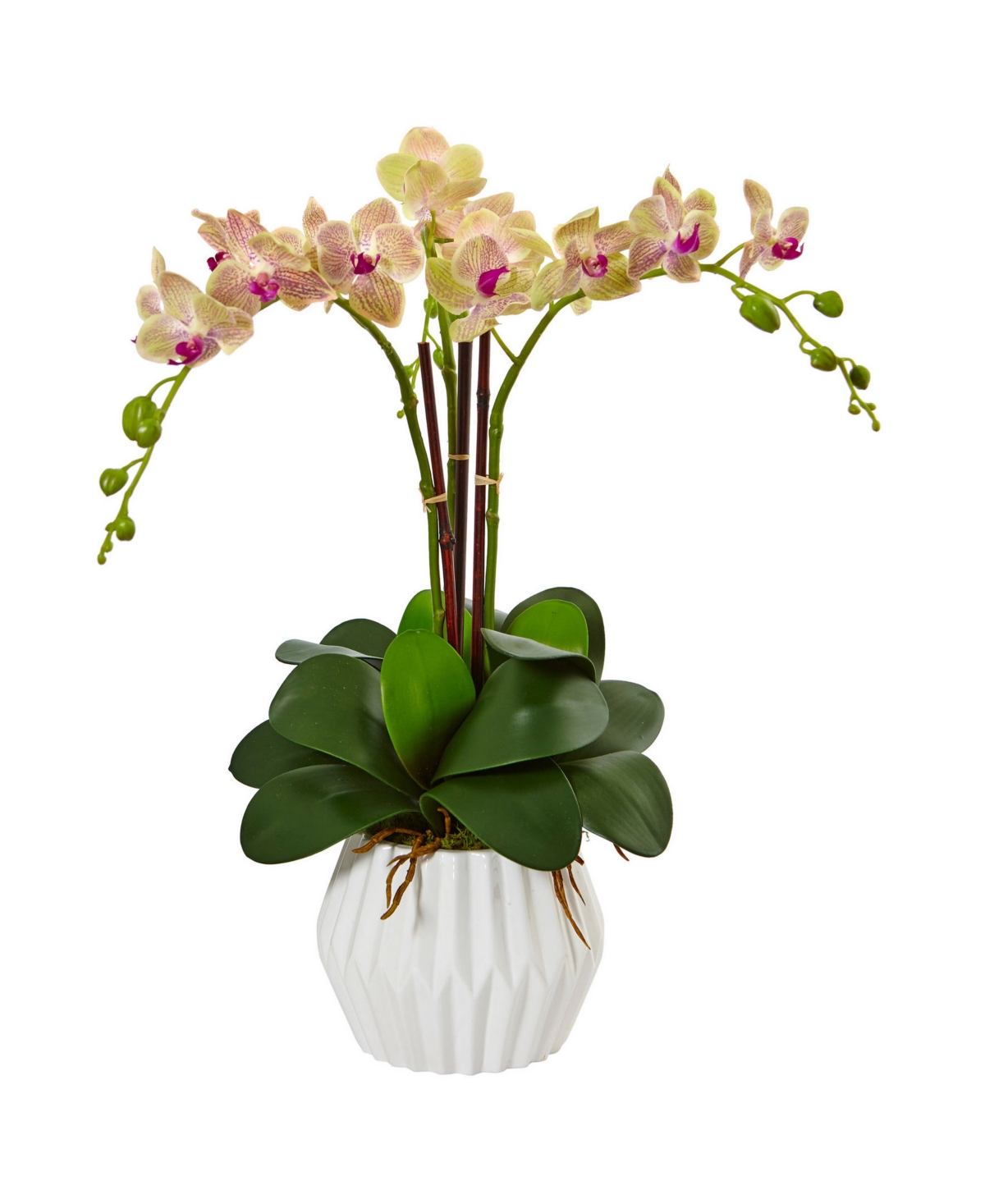 Click here for Nearly Natural Phalaenopsis Orchid Silk Arrangemen... prices