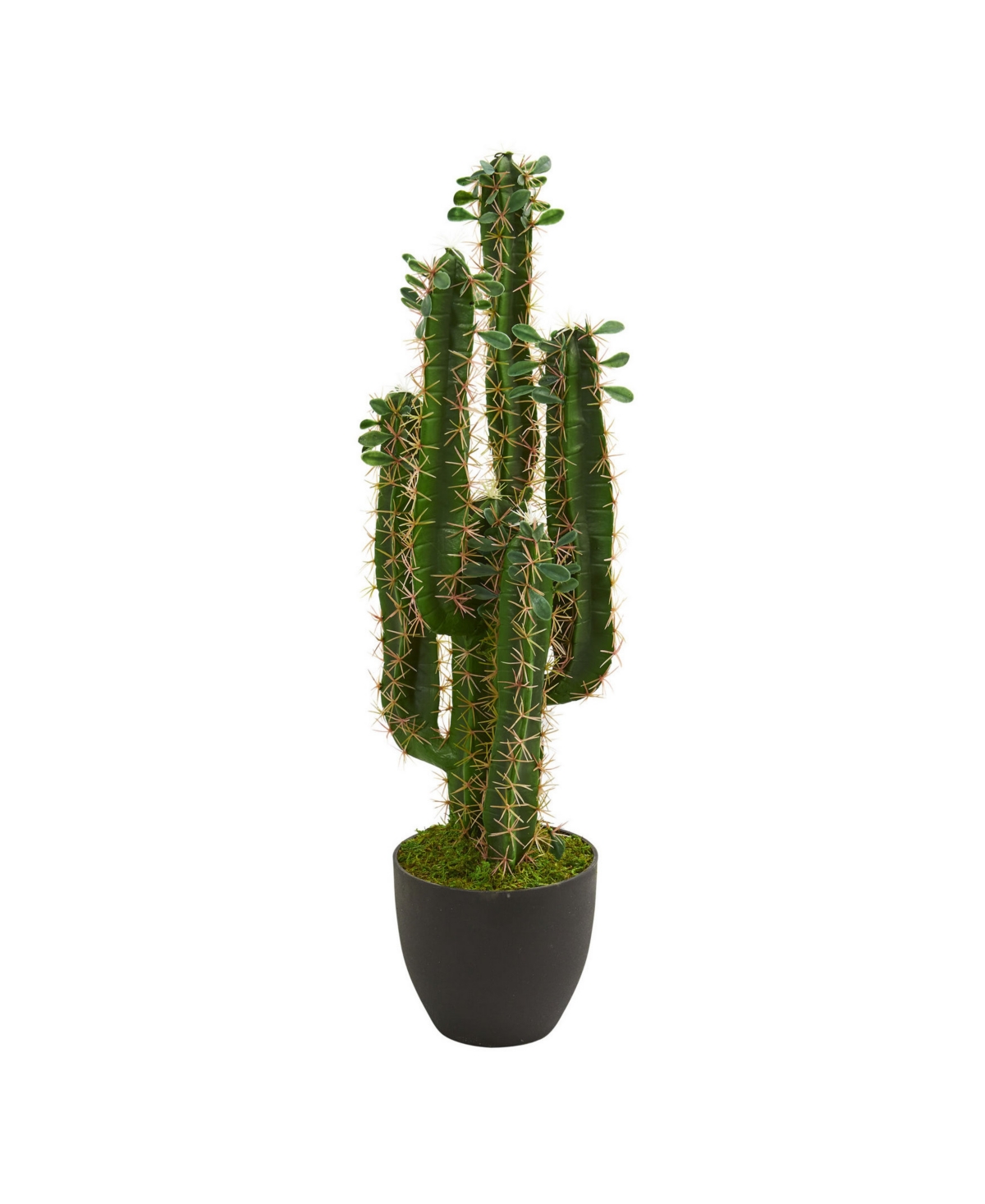 Click here for Nearly Natural 2.5 Cactus Artificial Plant - Green prices
