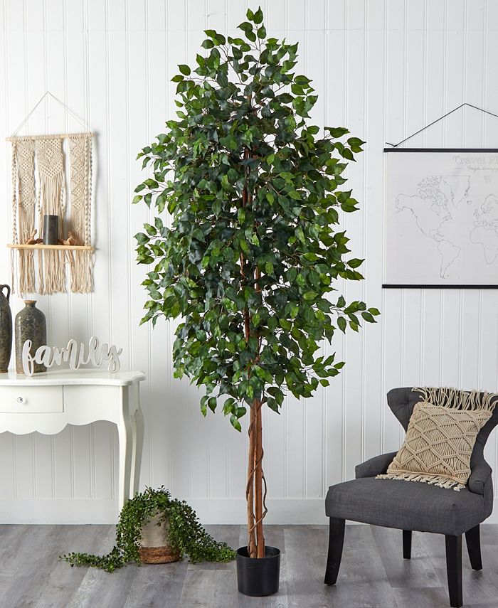 Nearly Natural 8' Ficus Tree - Macy's