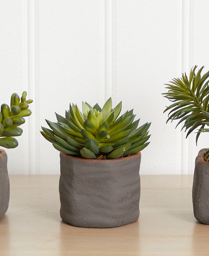 Nearly Natural Trio of Artificial Succulent Plants, Set of 3 - Macy's