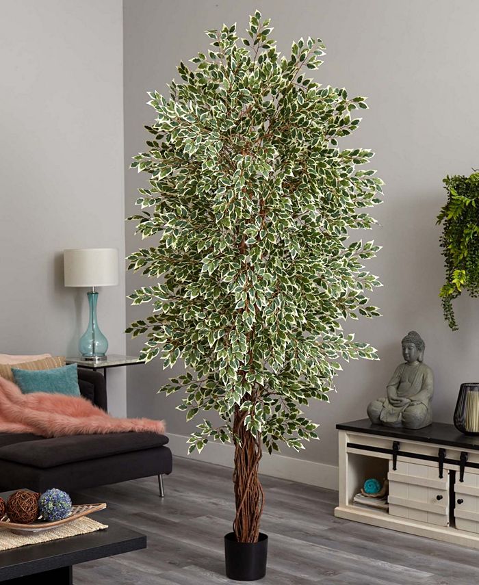 Nearly Natural 7.5' Variegated Mini Ficus Tree - Macy's