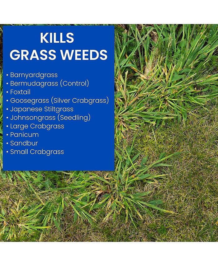 BioAdvanced 704119A Extreme Crabgrass Herbicide Weed Killer, Ready-to ...