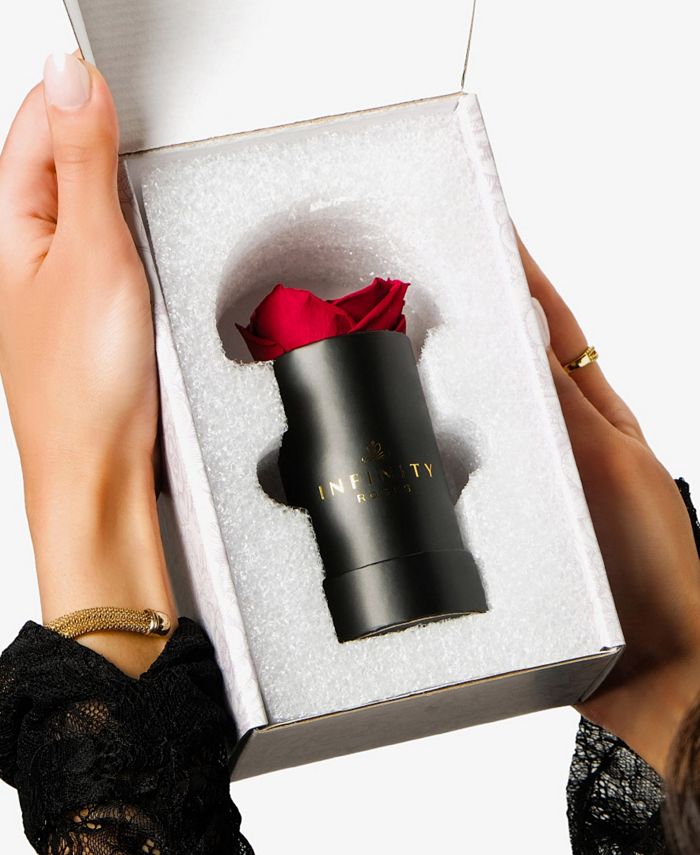Infinity Roses Single Red Real Rose Preserved To Last Over A Year - Macy's