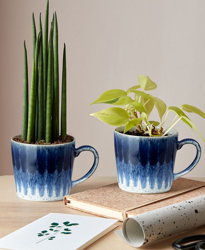 Denby Studio Blue Dinnerware Collection - Macy's