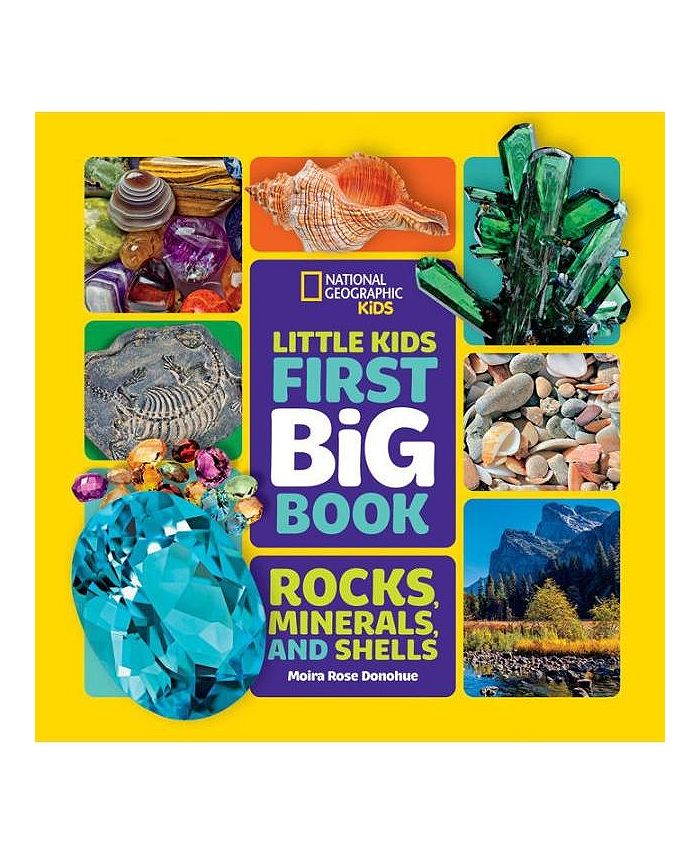 Barnes & Noble Little Kids First Big Book of Rocks, Minerals Shells by ...