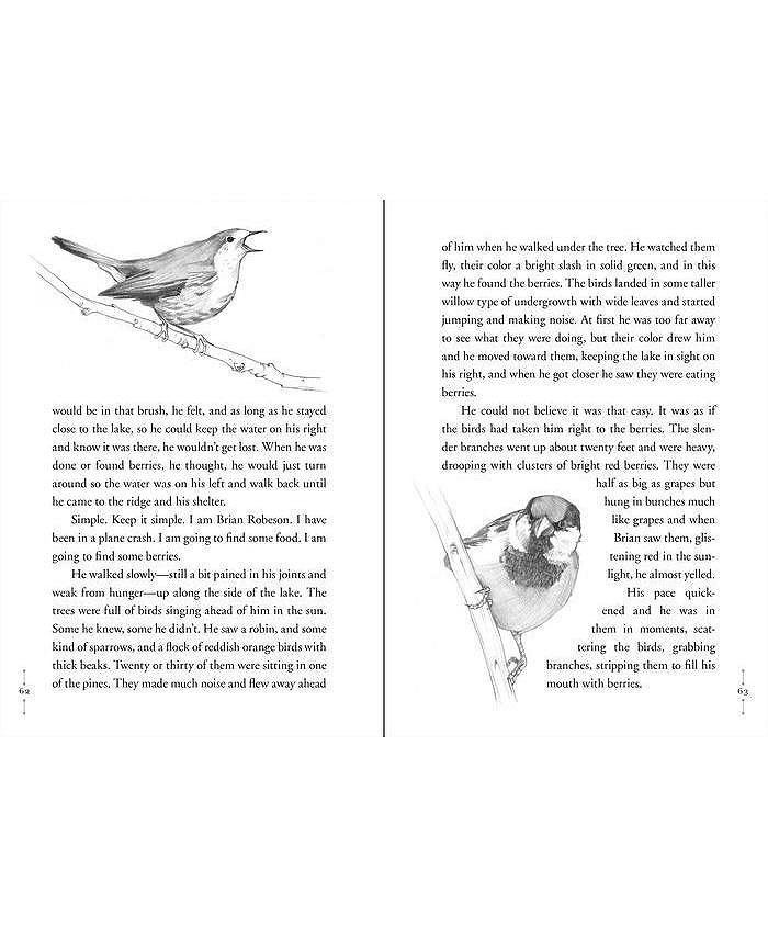 Barnes & Noble Hatchet- 30th Anniversary Edition by Gary Paulsen - Macy's