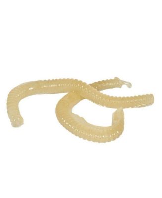 Woodstream 144027 Poison Mole Worms, Pack of 10 - Macy's