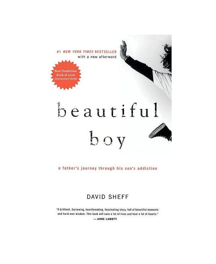 Barnes & Noble Beautiful Boy- A Father's Journey Through His Son's ...