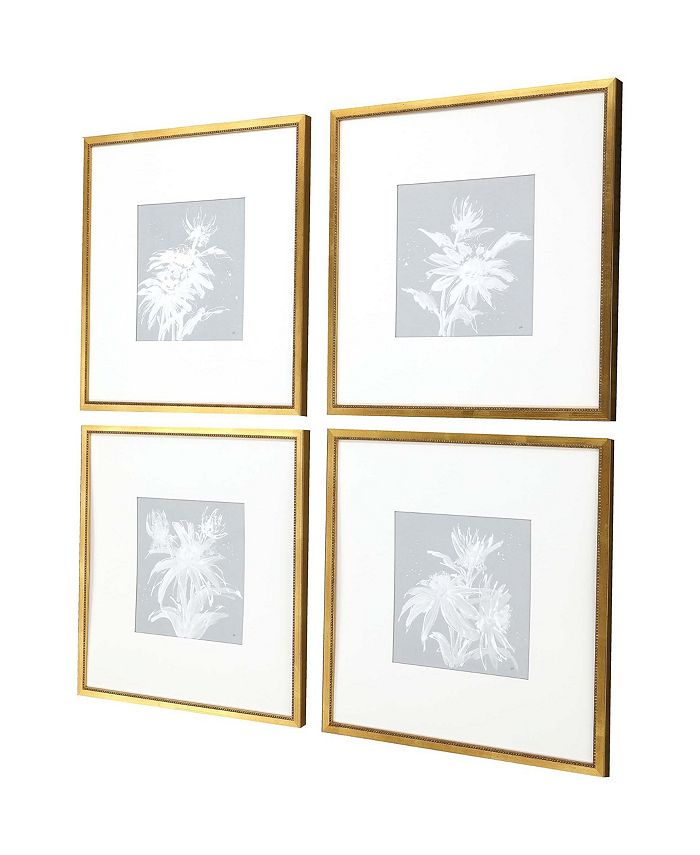 Paragon Picture Gallery Echinacea Framed Art, Set of 4 - Macy's