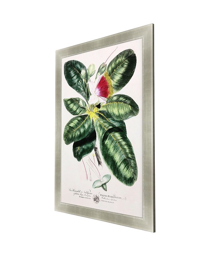 Paragon Picture Gallery Imperial Tropical I Framed Art - Macy's