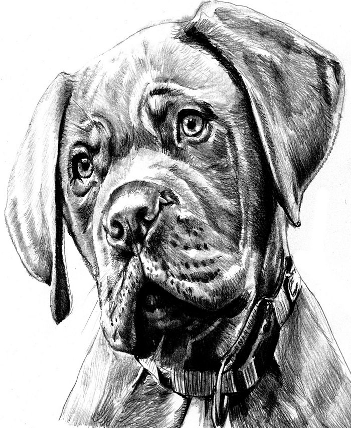 Art Maker Master Class Collection- Drawing Techniques Kit - Macy's