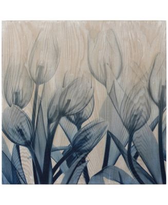 Empire Art Direct Spring Bloom A Fine Radiographic Photography Hi ...