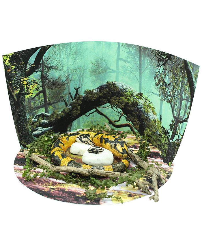 WILD! Science Wild Environmental Science - Extreme Snakes of the World ...