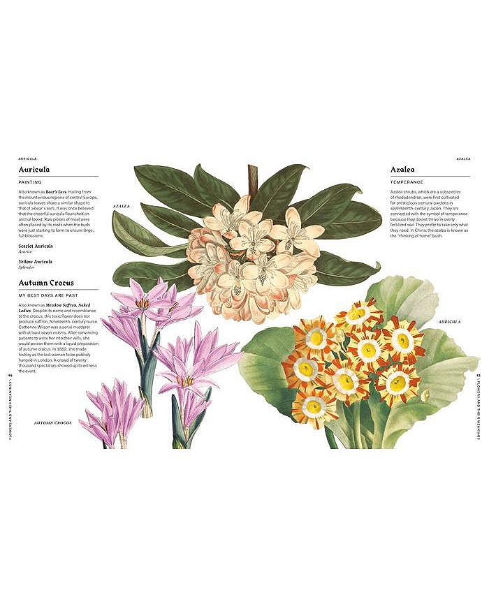 Barnes & Noble Flowers and Their Meanings- The Secret Language and ...