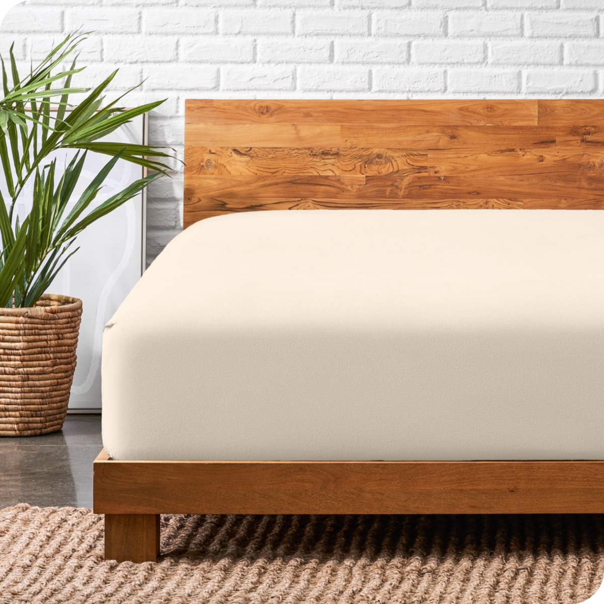 Click here for Bare Home Cotton Flannel Fitted Sheet Queen - Sand prices