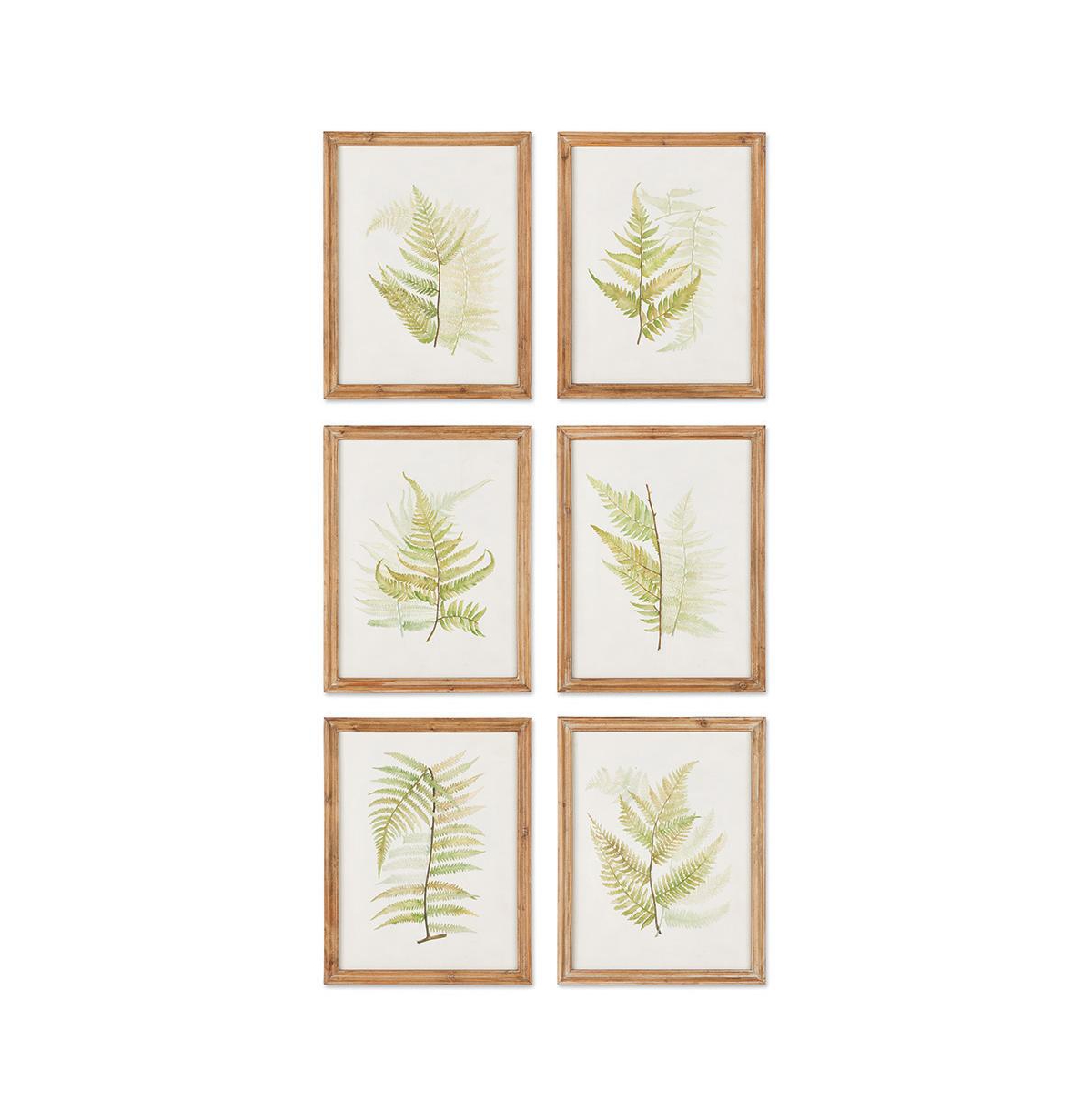 Click here for Framed Fern Study Set of 6 - Natural prices