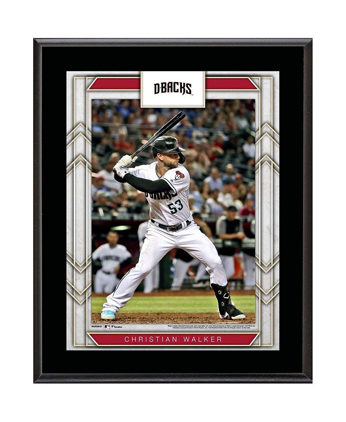 Fanatics Authentic Christian Walker Arizona Diamondbacks 10.5'' x 13 ...