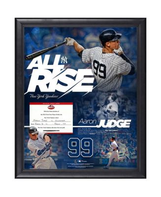Aaron Judge New York Yankees Framed 16" x 20" All Rise Collage with ...
