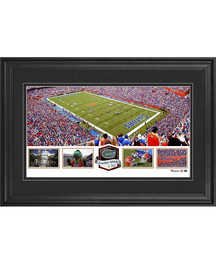 Fanatics Authentic Ben Hill Griffin Stadium Florida Gators Framed ...