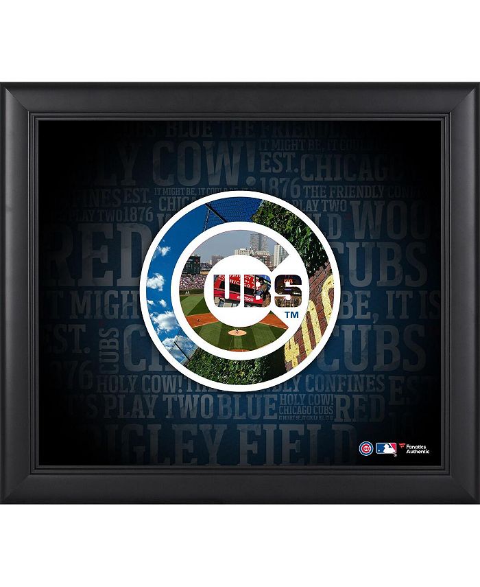 Fanatics Authentic Chicago Cubs Framed 15" x 17" Team Heritage Collage ...
