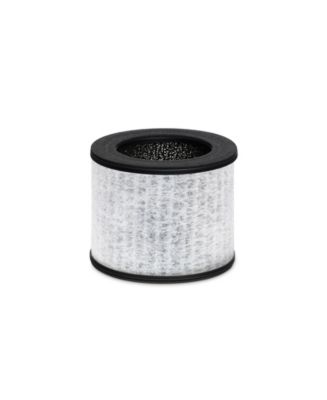 Homedics TotalClean Replacement HEPA-Type Filter for Homedics, AP-P60 ...