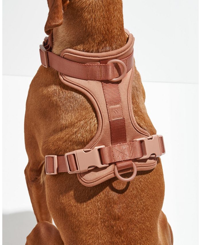 Wild One Harness for Dogs - Macy's