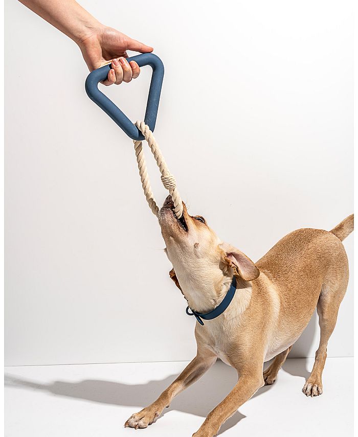 Wild One Triangle Tug Dog Toy - Macy's
