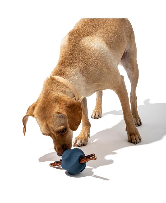 Wild One Twist Toss Dog Toy - Macy's